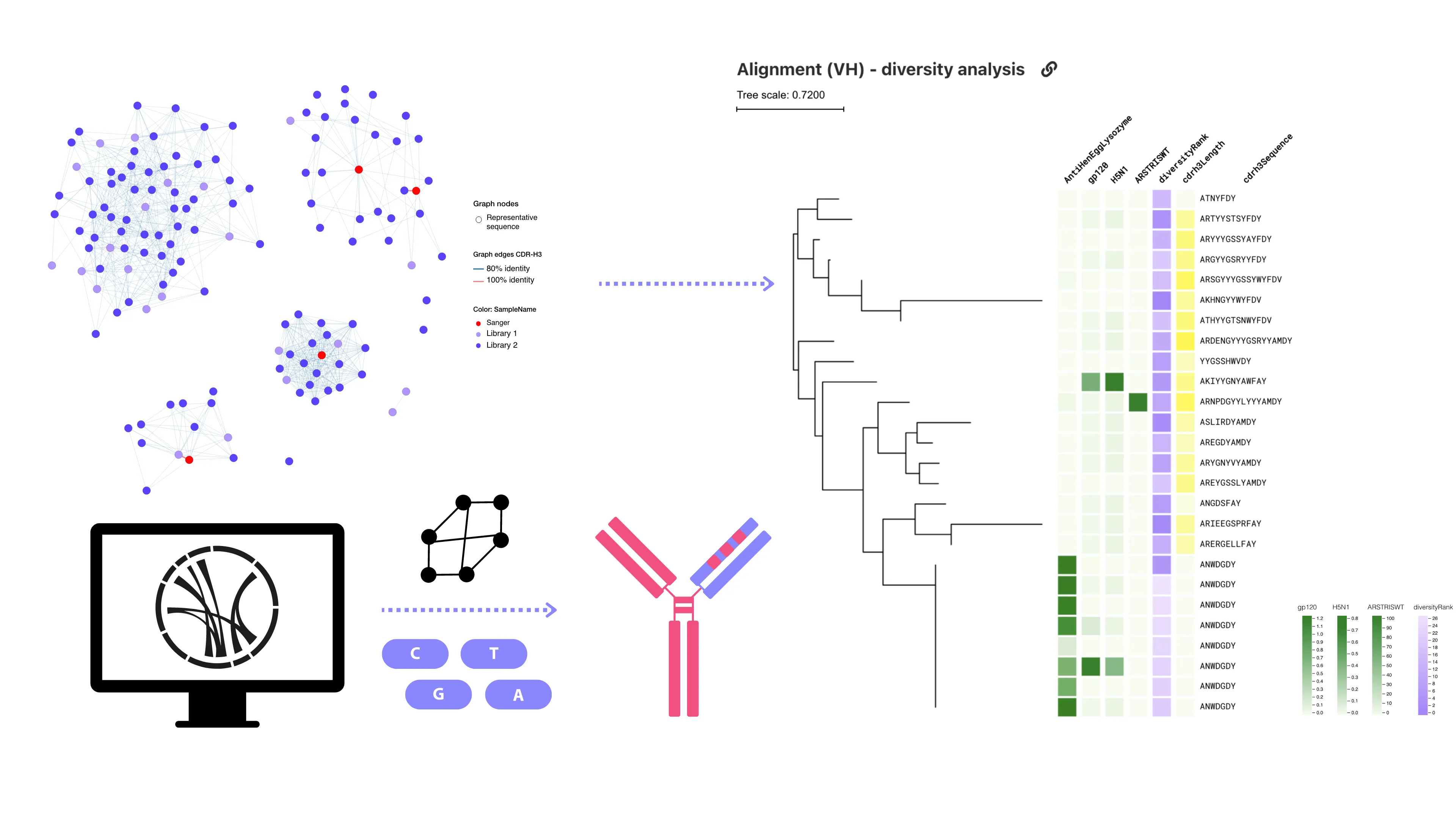 PipeBio – Bioinformatics for Antibody, TCR and Peptide Discovery